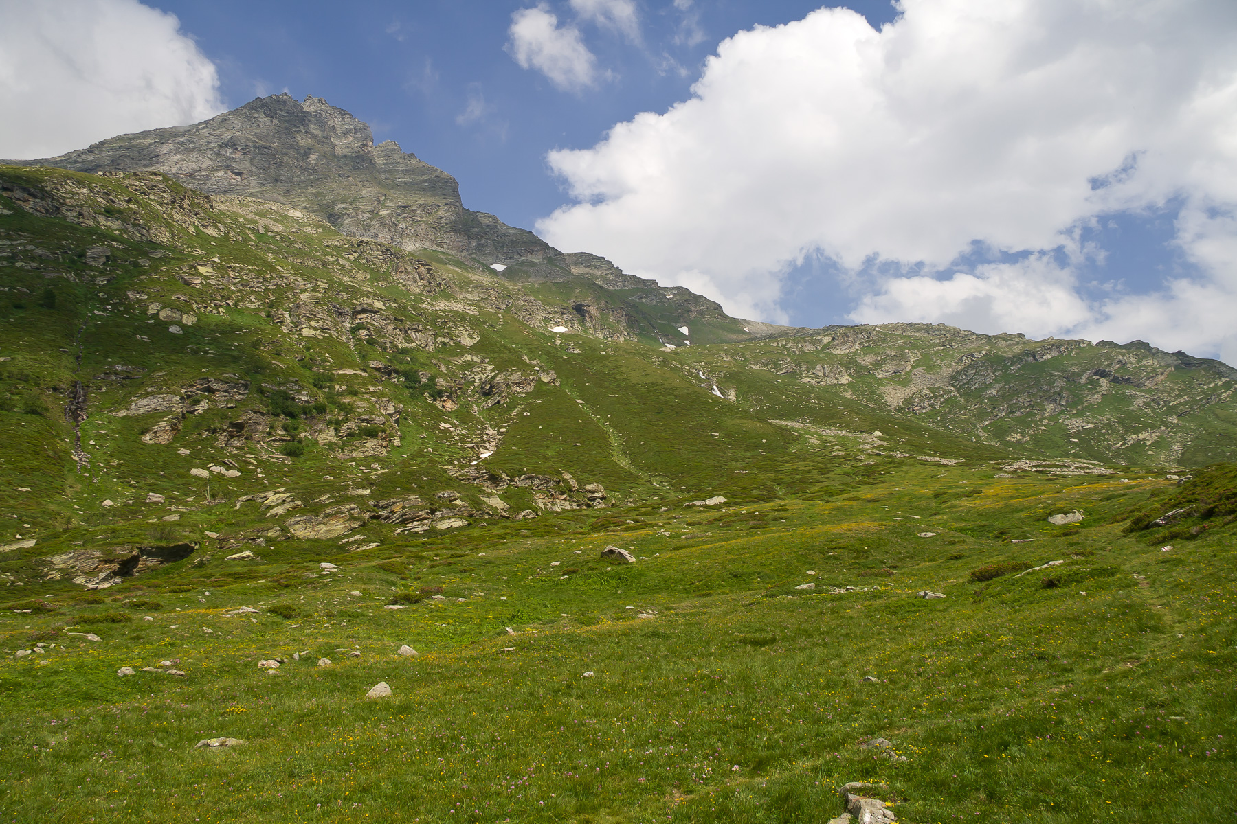 Rheinwaldhorn / Adula 2010