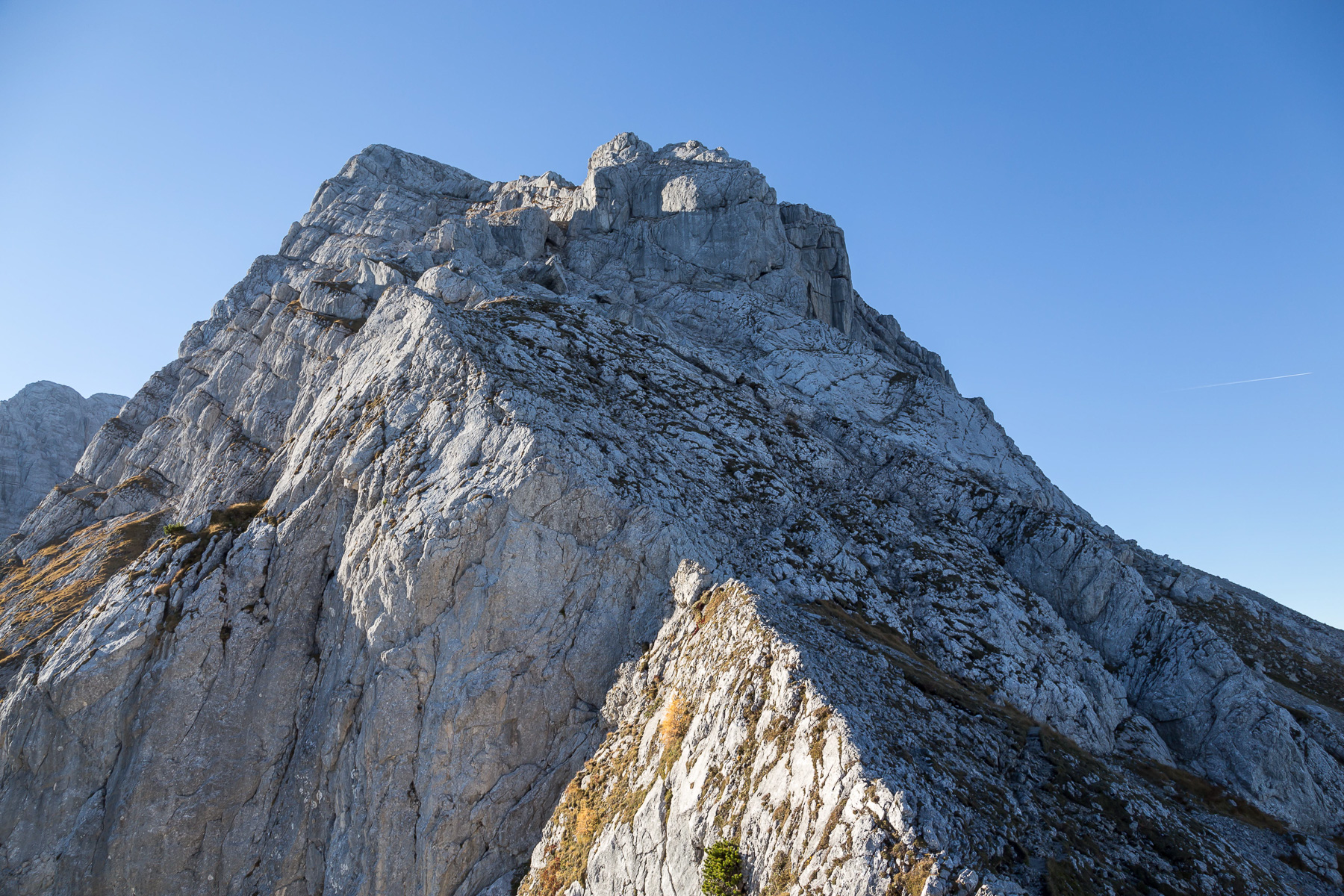 Saalfelden 2014