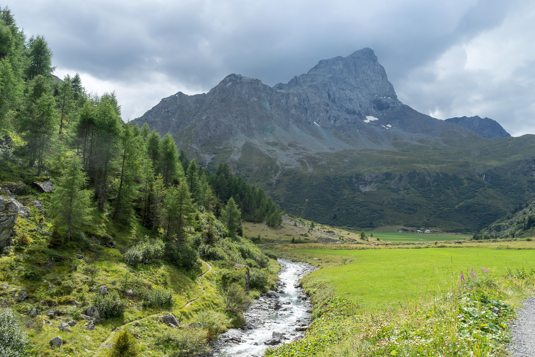 Piz Platta / Piz Mitgel 2016